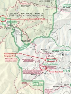 Le 4 Escursioni Più Belle a Sequoia National Park e Kings Canyon